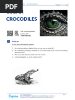 Latest Crocodile Handling Techniques | PDF | Crocodile | Zoology