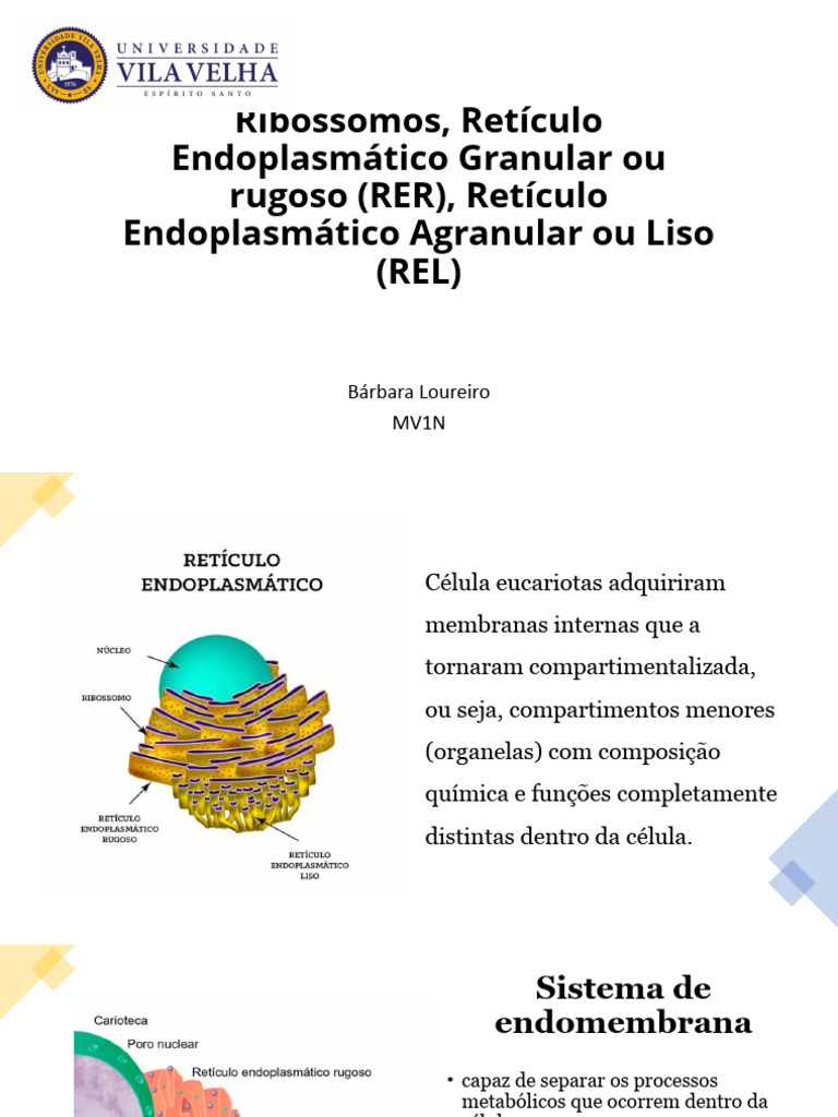 Aula 4 reticulo endoplasmático RER e REL 2023-1 | PDF | Retículo ...