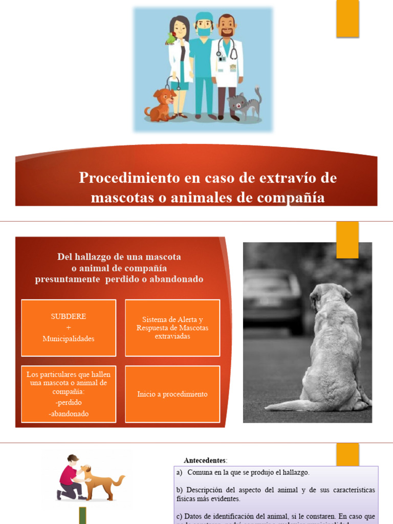 Clase 5 | PDF | Mascota