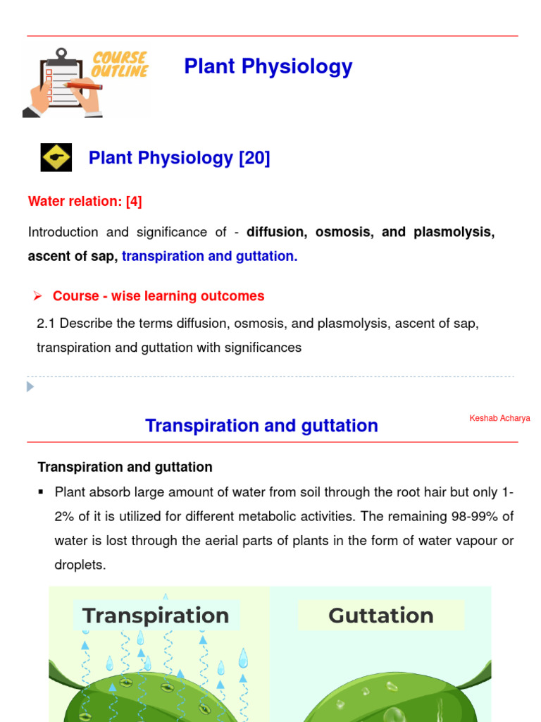 Transpiration 2080 | PDF | Stoma | Leaf
