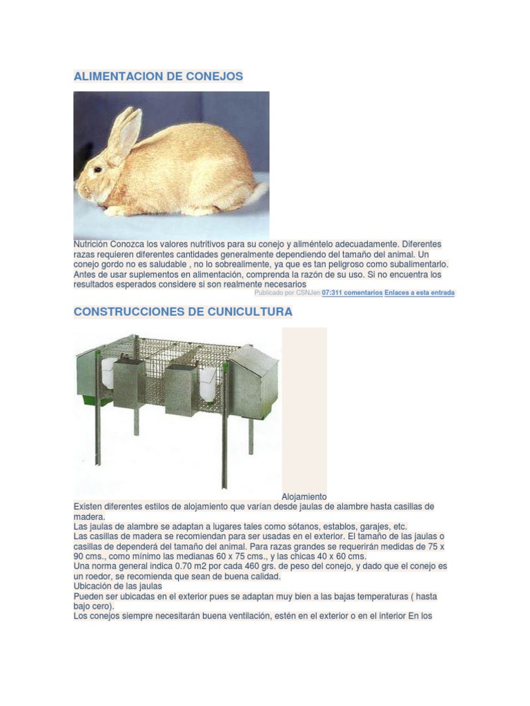 Guía de Cunicultura y Manejo de Conejos | PDF | Carne | Alimentos