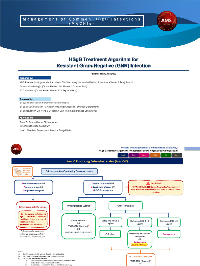 Treatment Algorithm For Resistant Gram Negative (GNR) Infections ...