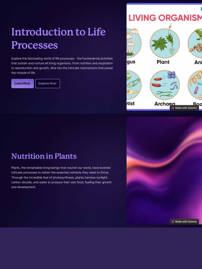 Introduction To Life Processes | PDF | Digestion | Nutrition