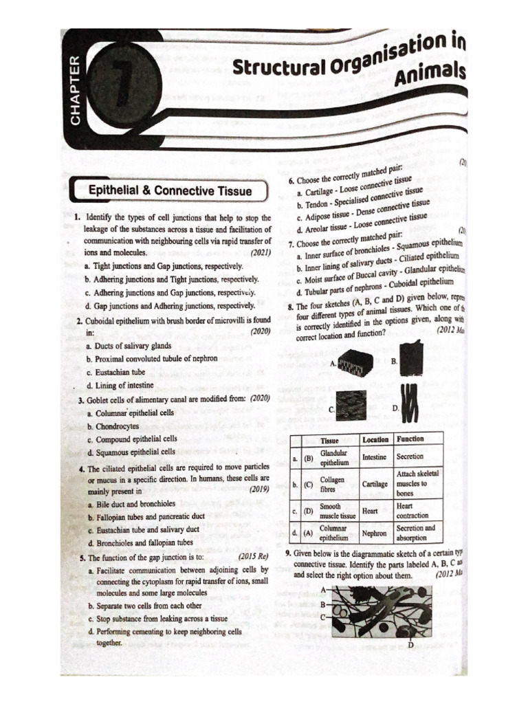 Structural Organisation in | PDF