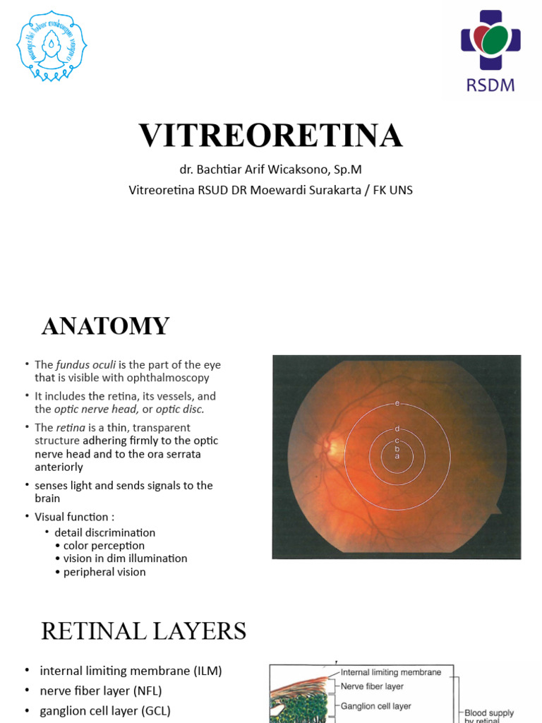 Kuliah Vitreoretina | Download Free PDF | Retina | Clinical Medicine