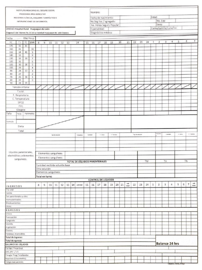 Documentos IMSS Ok | PDF