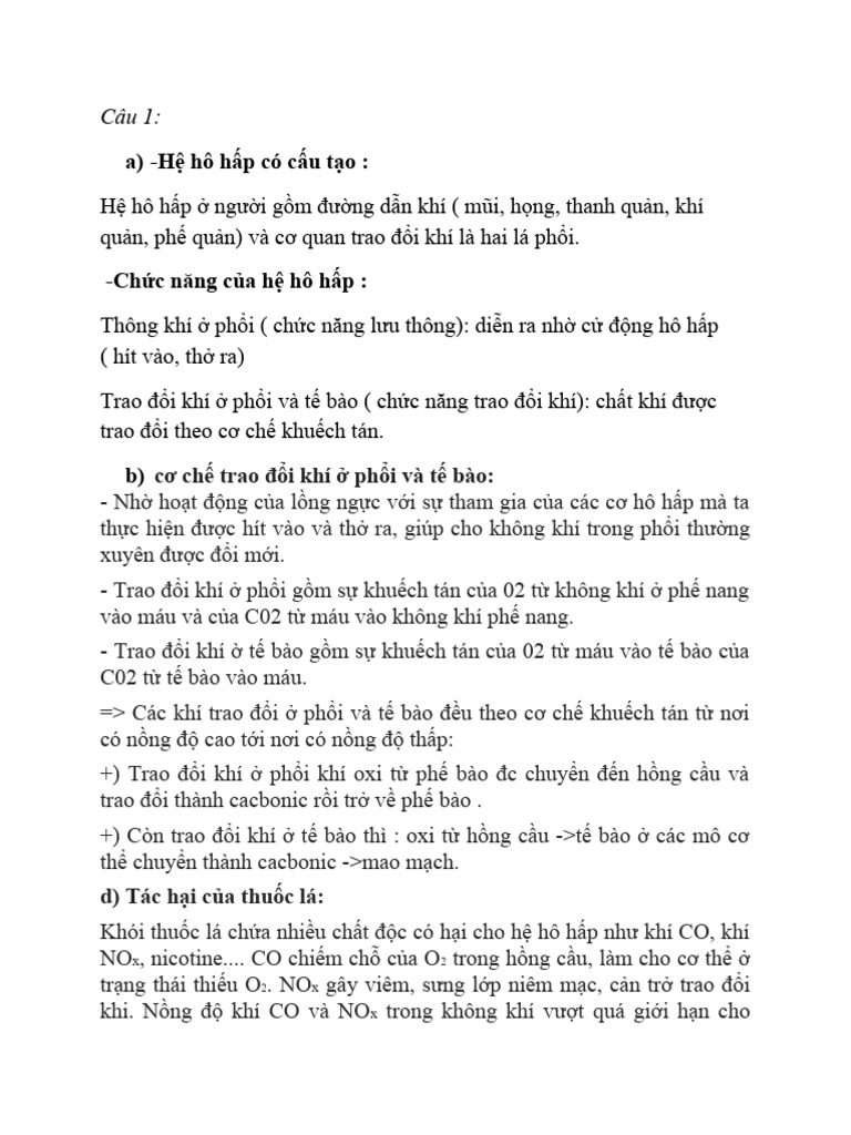 De Cuong Sinh GK2 | PDF