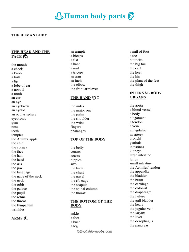 Human Body Parts | PDF | Thorax | Hand