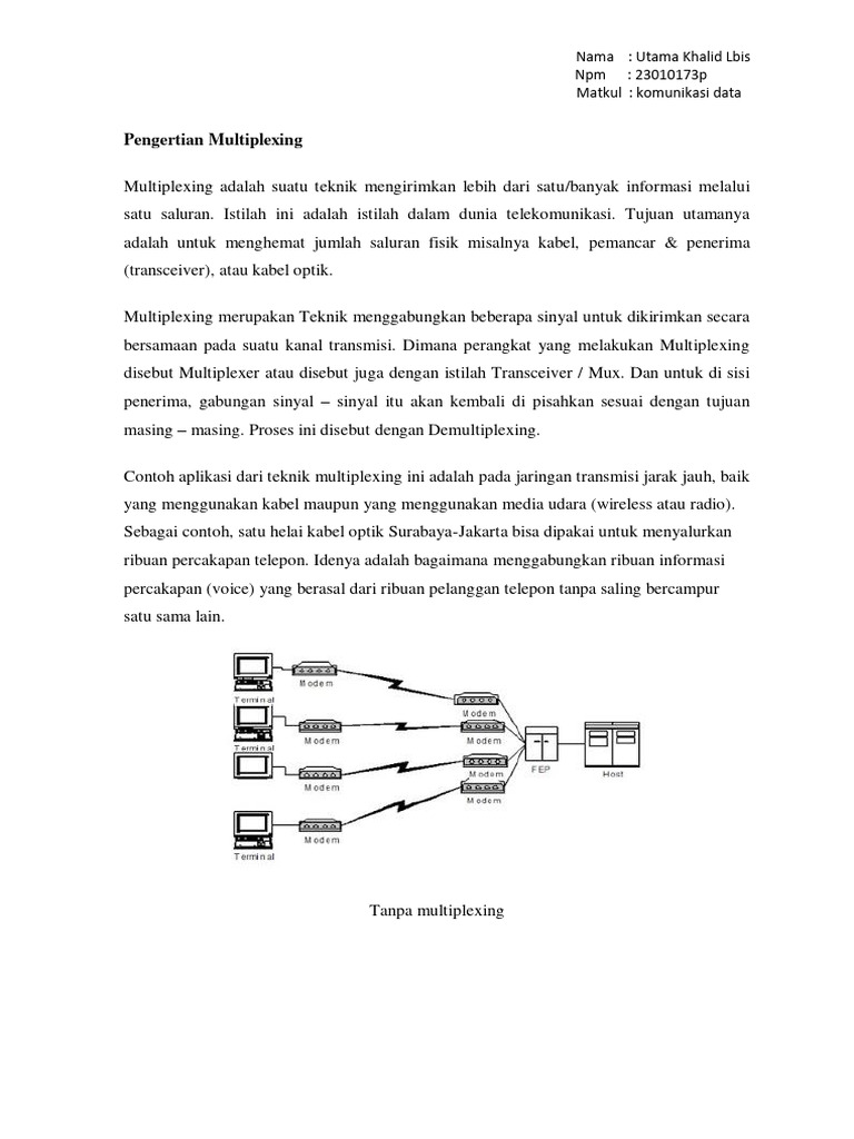 Multiplexing | PDF