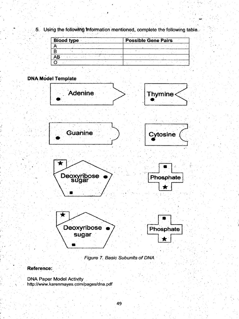 Dna Template | PDF
