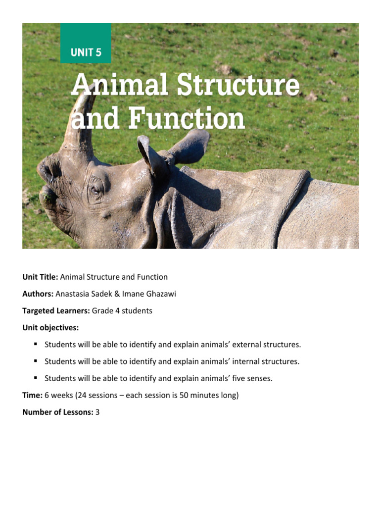 The Guide | PDF | Educational Assessment | Learning