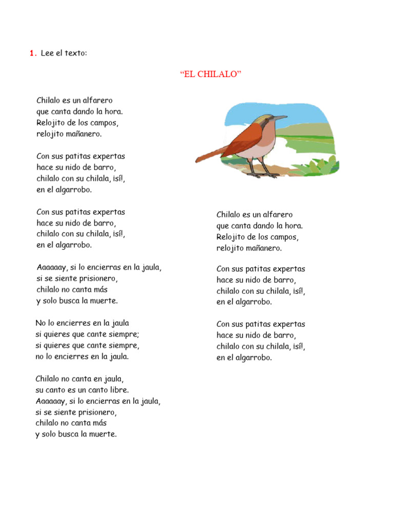 Chilalo Lectura Pdf
