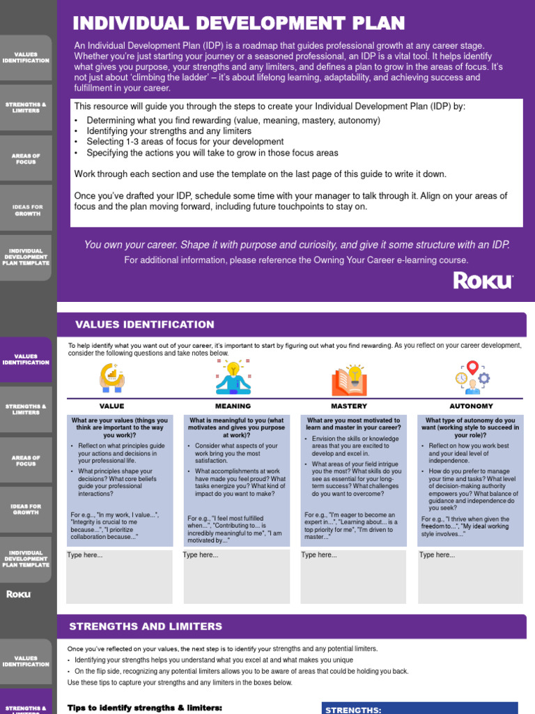 Individual Development Plan (IDP) | PDF | Mentorship | Learning