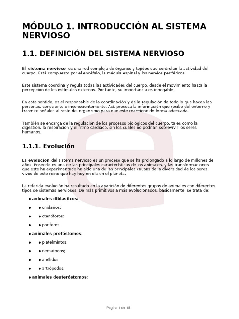 Modulo 1 Introduccion Al Sistema Nervioso | PDF | Sinapsis | Sistema nervioso