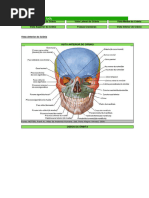 Forames do Crânio e Suas Estruturas | PDF | Anatomia humana | Anatomia dos primatas