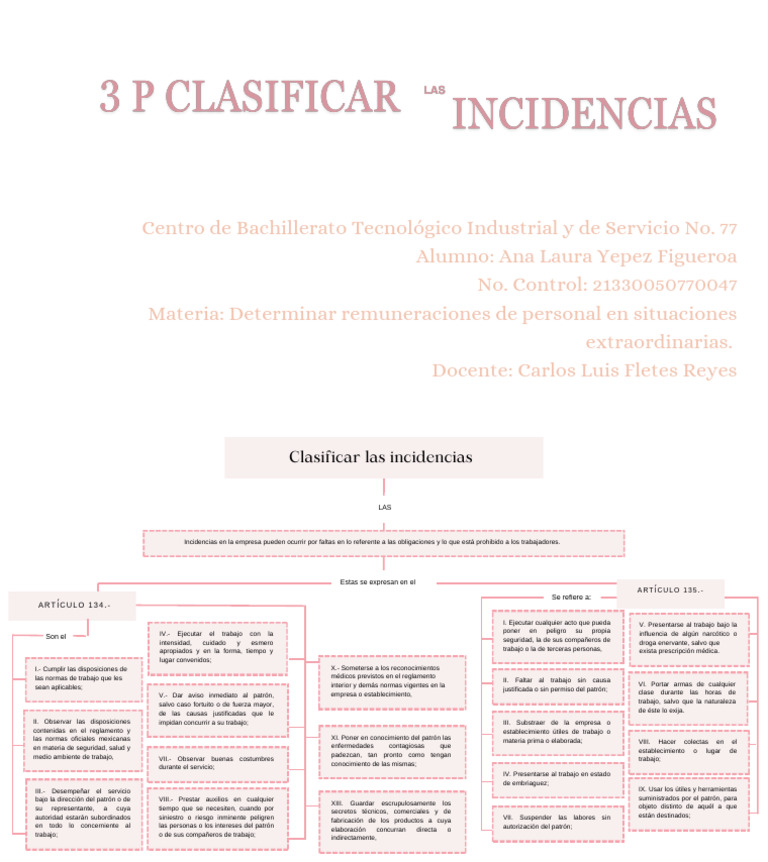 Yepez Figueroa Ana Laura - Clasificar Las Incidencias | PDF | Business
