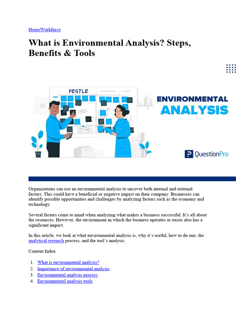 Busimess Environmental Analysis | PDF | Business | Cognition