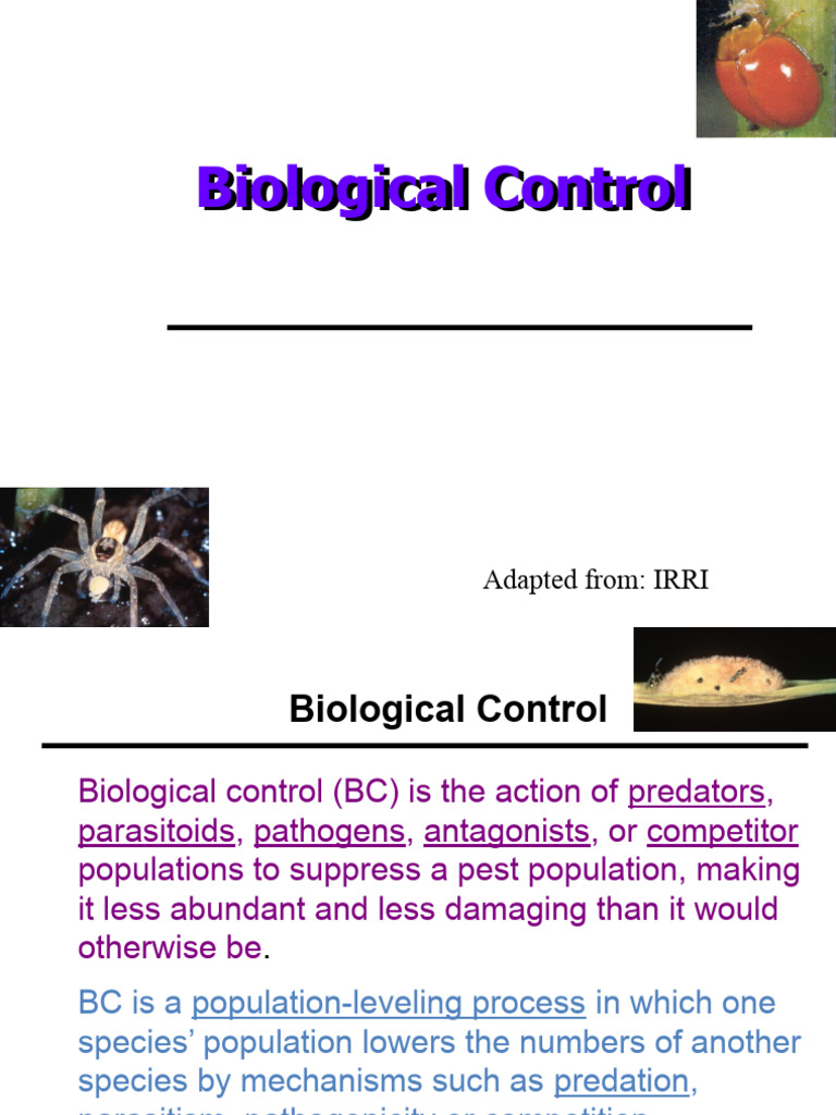 Biological Control | PDF | Biological Pest Control | Predation