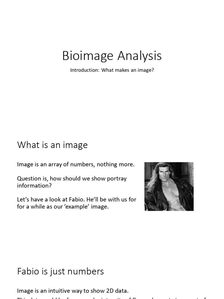 What Is An Image | PDF | Image Resolution | Angular Resolution