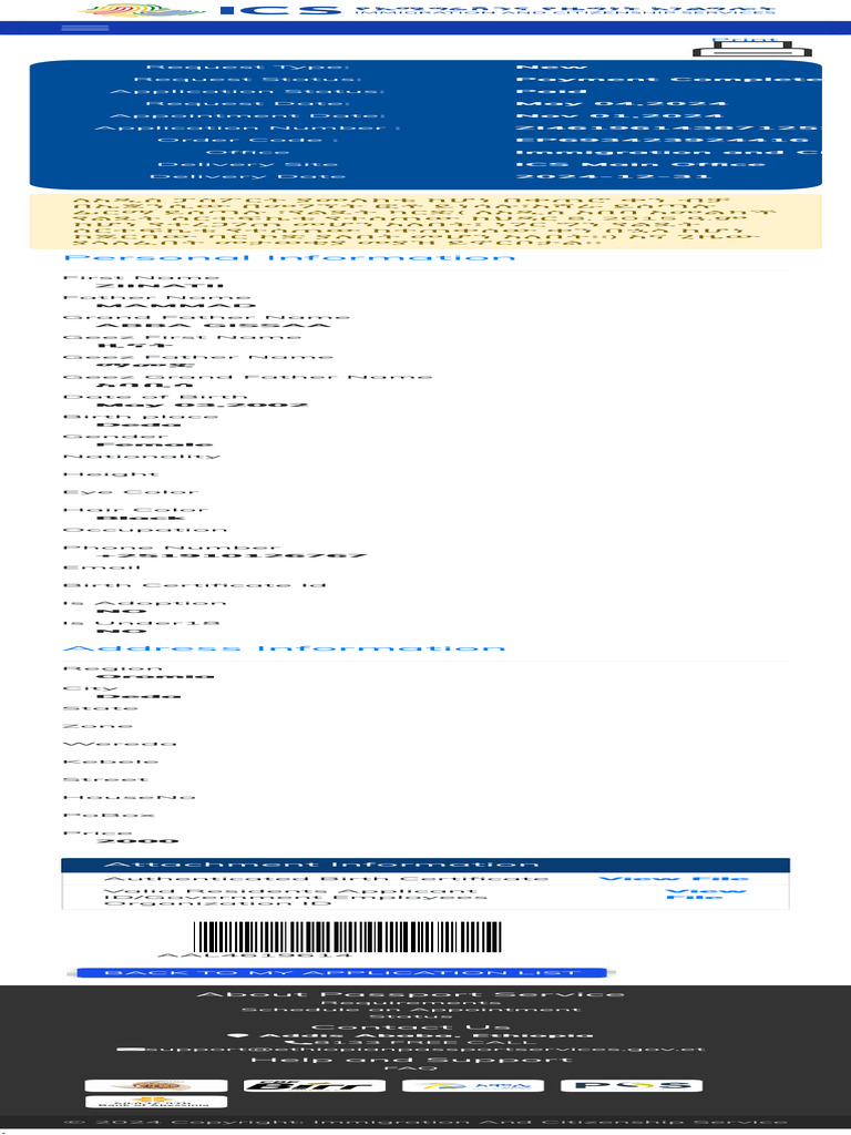 Zinet | PDF | Government And Personhood