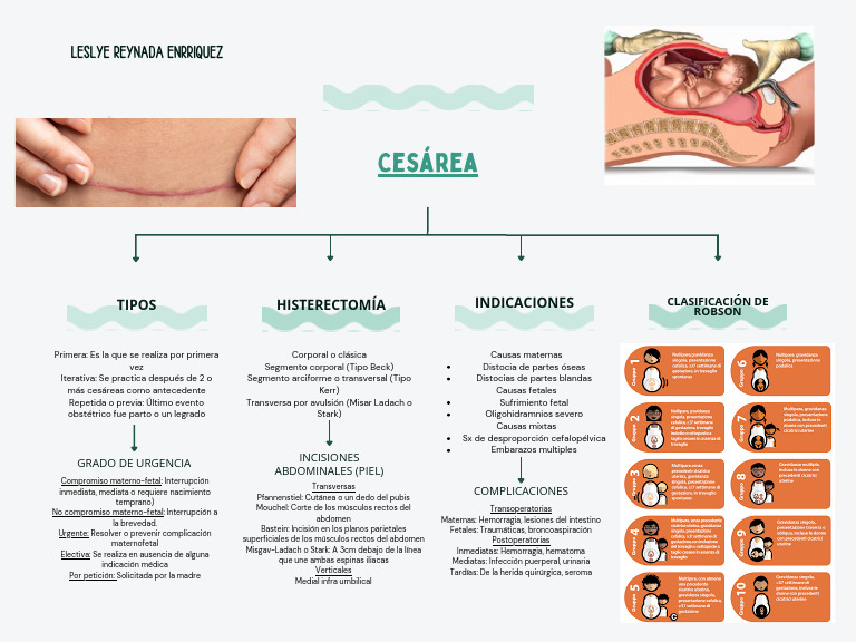 cesárea | PDF | Parto | Abdomen