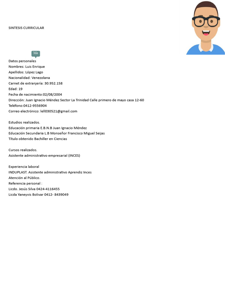 Currículum Luis Lope | PDF