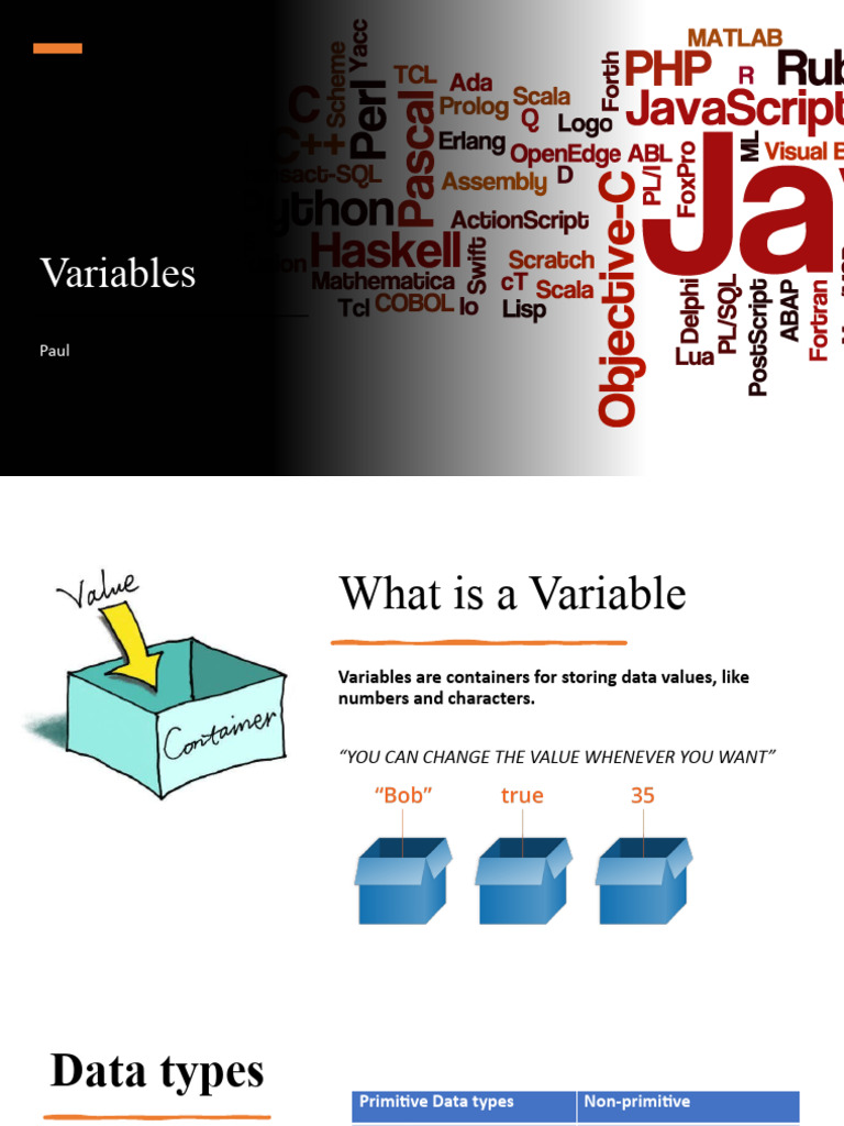 Variables Pdf Data Type Integer Computer Science 6245