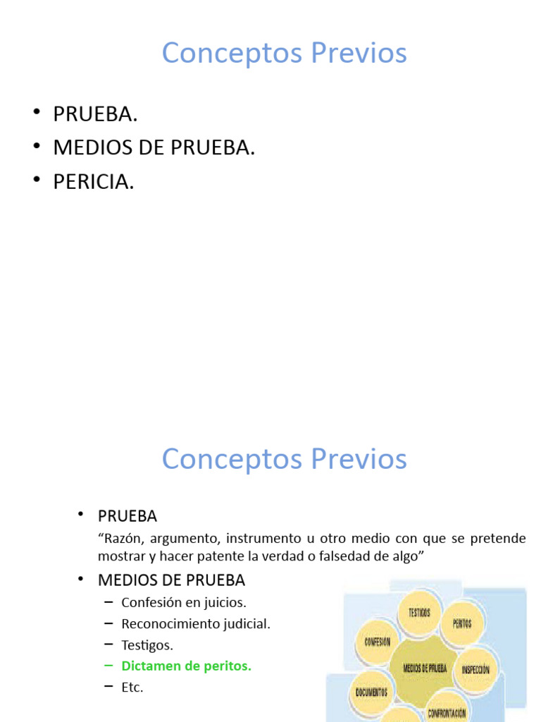 Guía de Pericia Judicial y Civil | PDF | Testigo experto | Evidencia (ley)