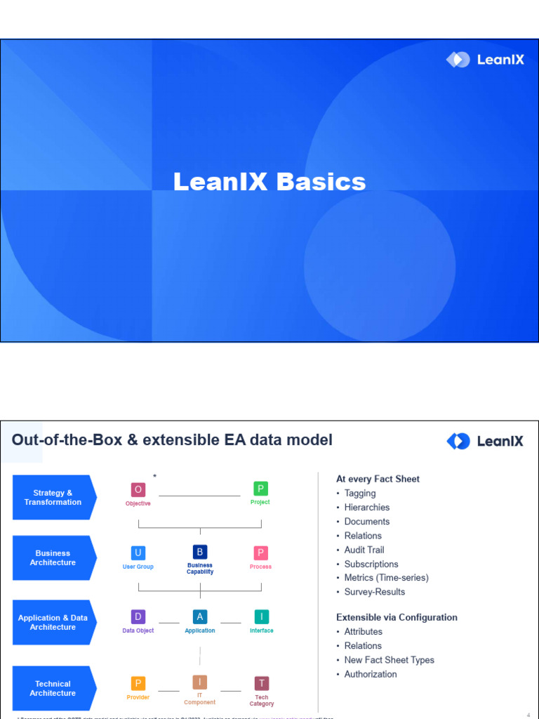 LeanIX Basics | PDF | Application Software | Enterprise Architecture