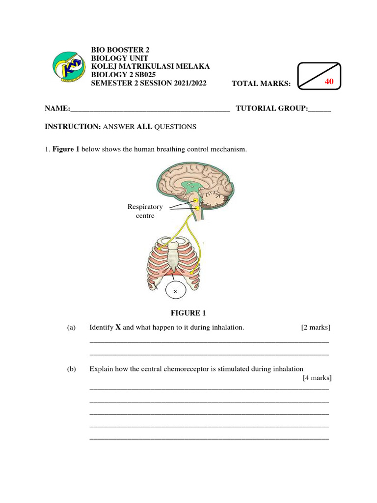 (Q)-BIO BOOSTER SET 2 | PDF | Synapse | Heart