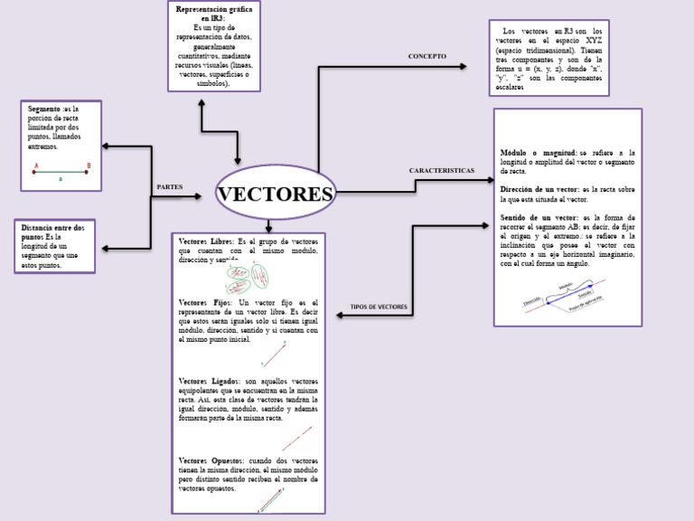 Mapa Conceptual de Los Vectores 3 | PDF | Vector Euclidiano | Línea ...