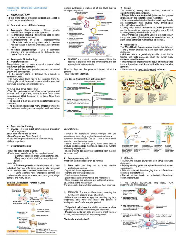 Agric 3120 - Basic Biotechnology | PDF | Cell Potency | Genetically Modified Organism