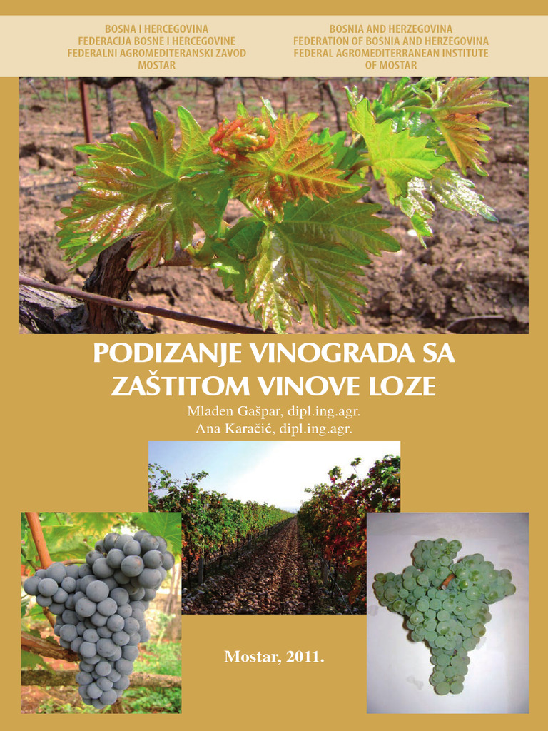 Prirucnik Vinova Loza | PDF