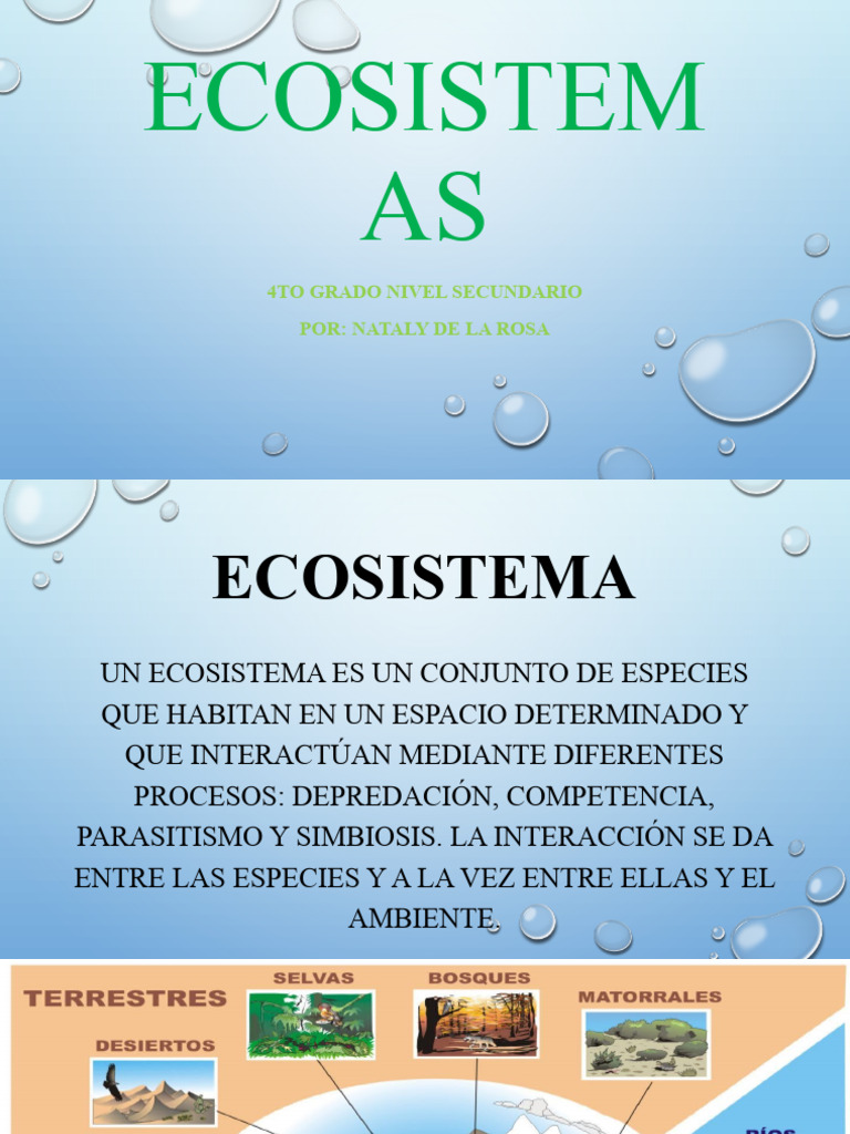 Ecosistemas | PDF | Red alimentaria | Ecosistema