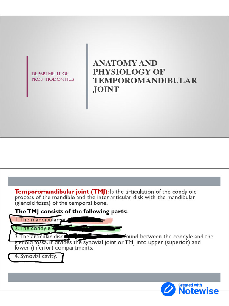 Lec 9 PDF | PDF | Human Anatomy | Musculoskeletal System