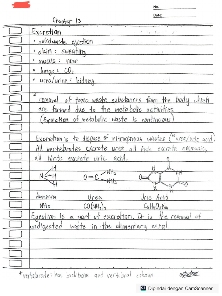 Bio IGCSE CHP 13-15 Notes (S4 Sem 1) | PDF Bio IGCSE CHP 13-15 Notes (S4 Sem 1) | PDF