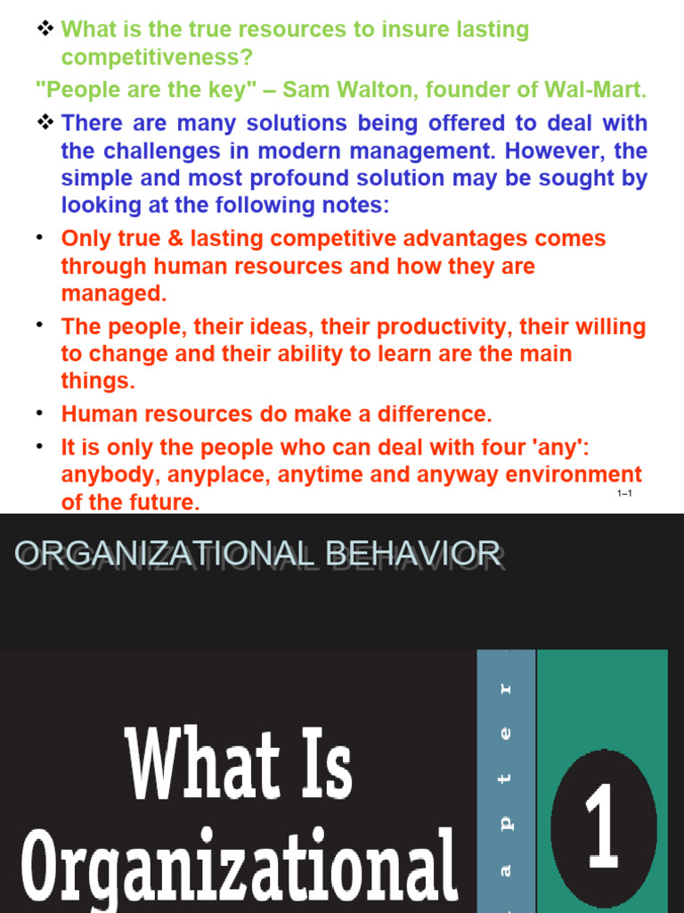 General Introduction | PDF | Diversity (Business) | Organizational Behavior