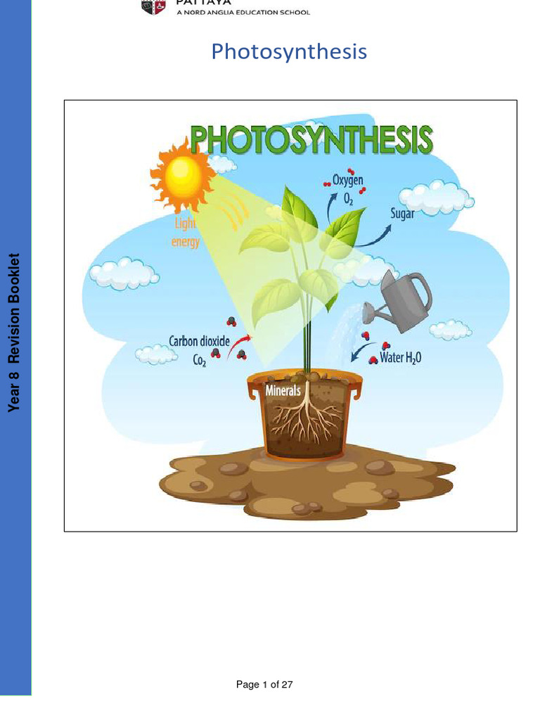 Photosynthesis Revision Booklet | Download Free PDF | Photosynthesis | Leaf