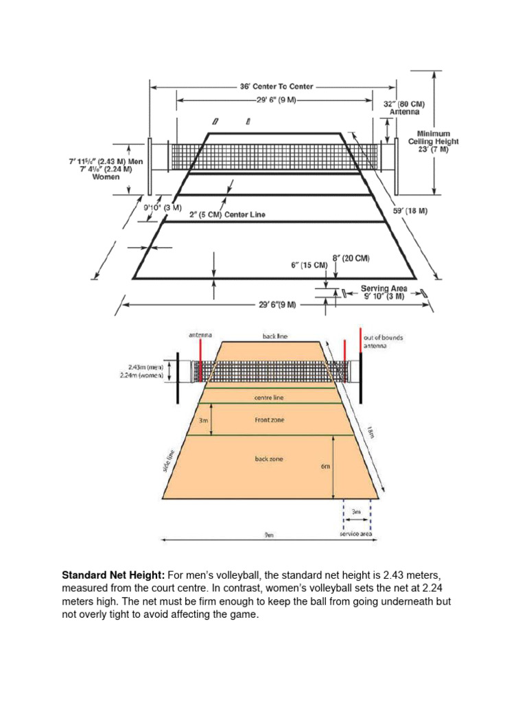 Volleyball Net Height & Rules Guide | PDF | Volleyball | Team Sports
