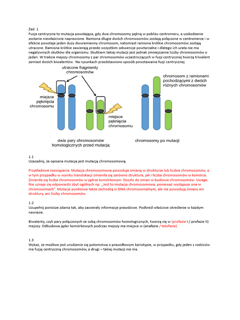 Genetyka Arkusze | PDF