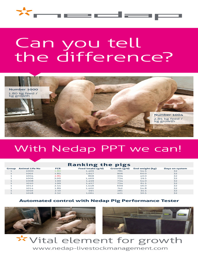 Pig Performance Analysis with Nedap | PDF