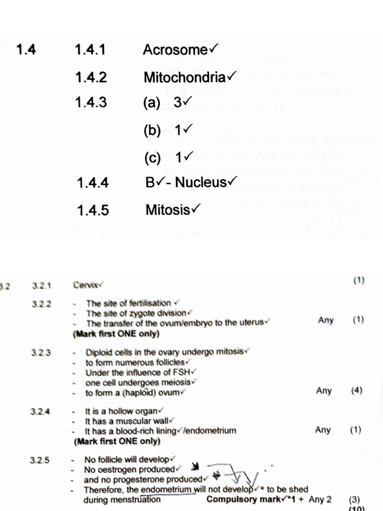Memo Human Reproduction Exam Questions 2020 | PDF