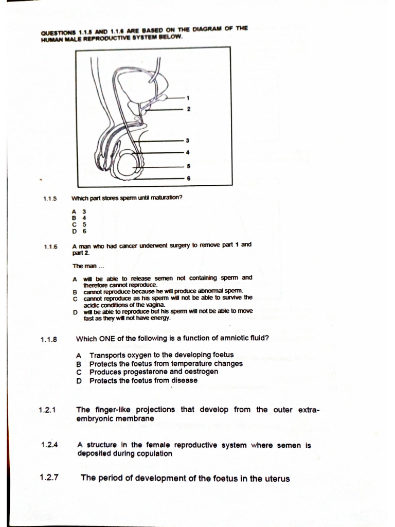 Exam Questions Human Reproduction 2018 and 2019 | PDF