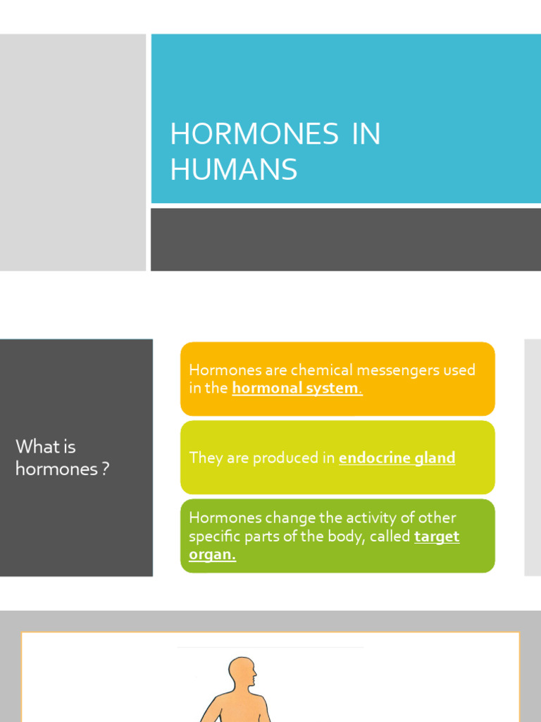 Hormones | PDF | Hormone | Endocrine System