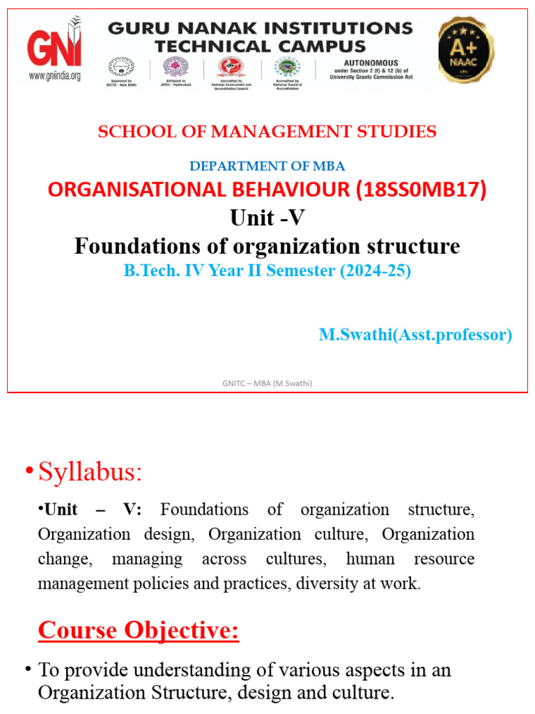 MBA Organizational Structure Basics | PDF | Diversity (Business ...