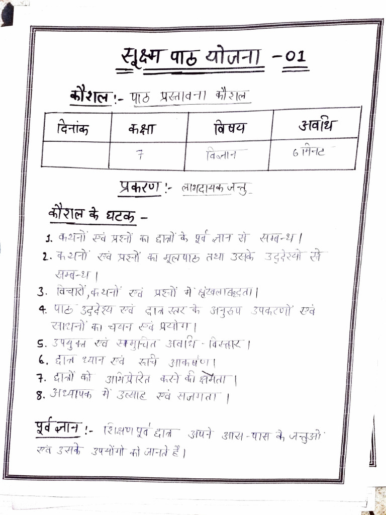 Micro Teaching Lesson Plan | PDF