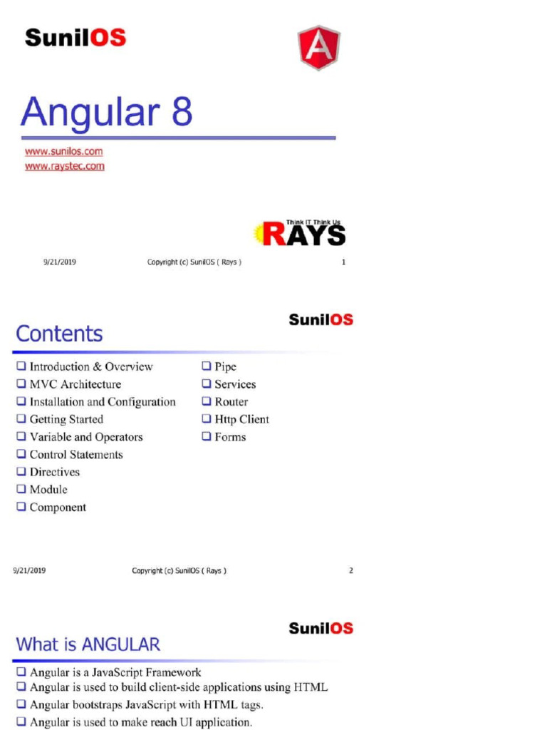 Angular Mubeen | PDF