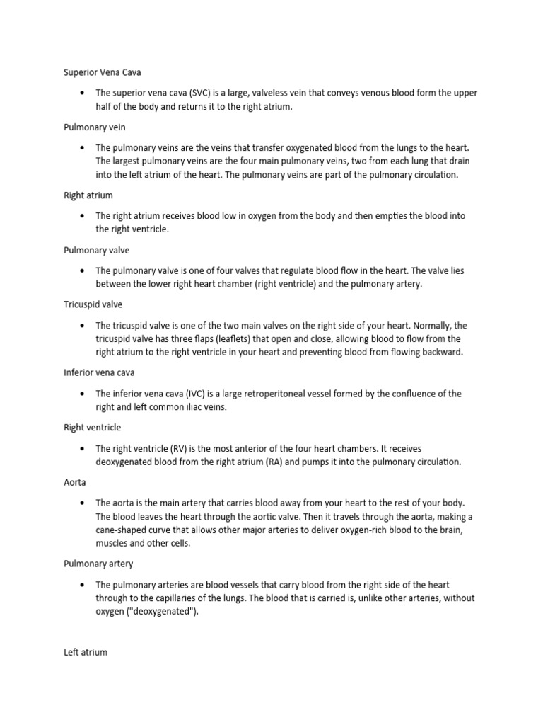 Heart Parts | PDF | Heart Valve | Heart