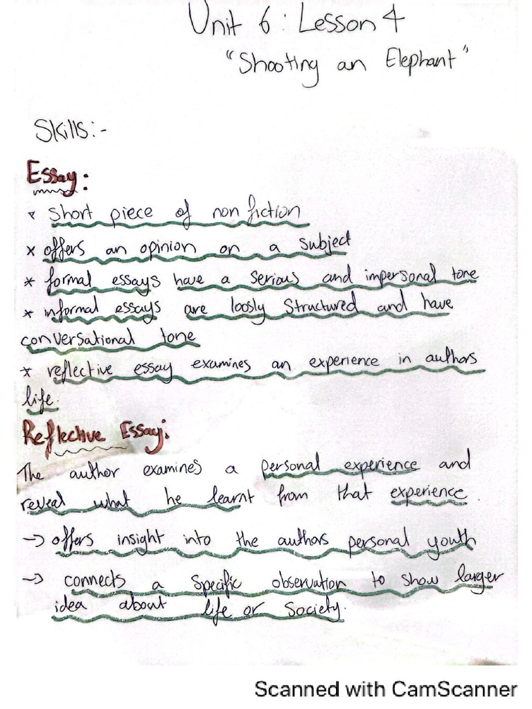 Shooting An Elephant | PDF