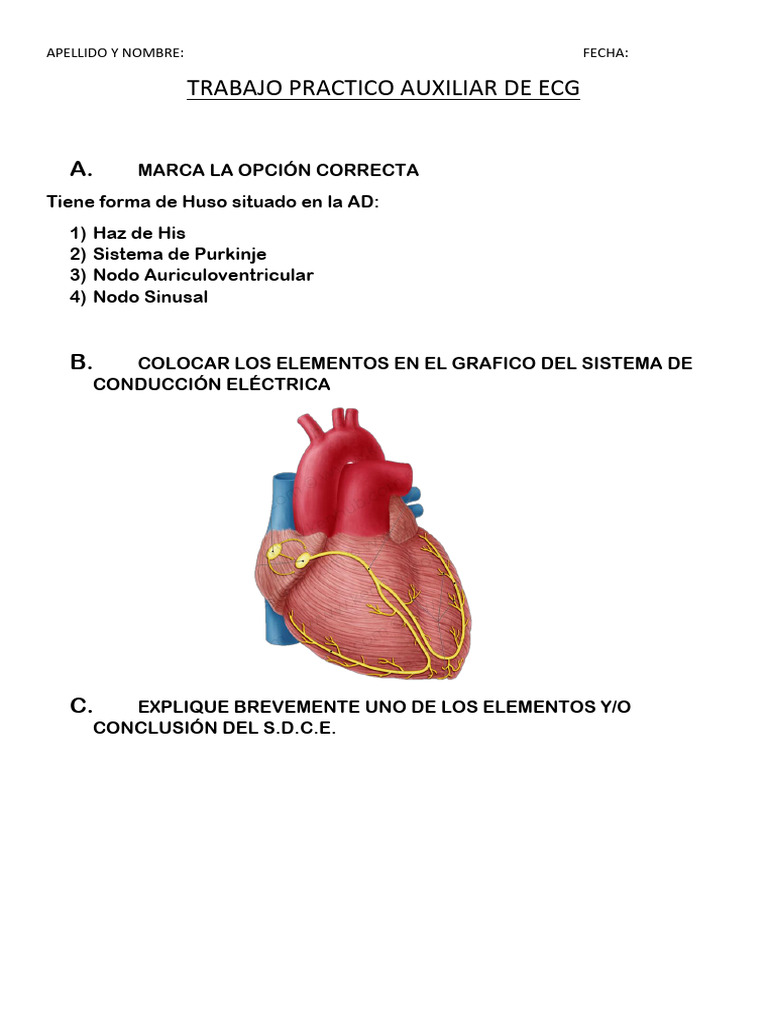 TP AUX ECG | PDF